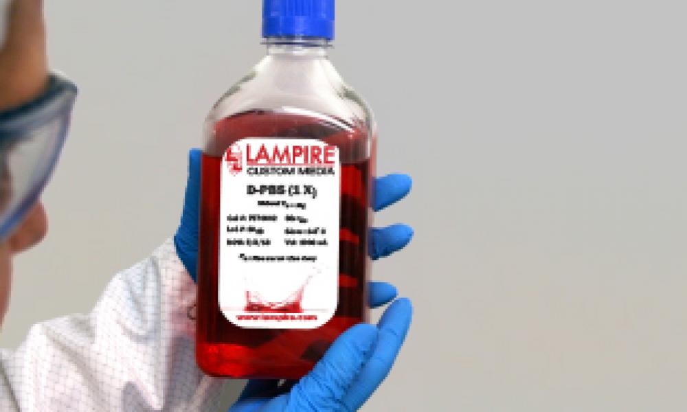 LAMPIRE specializes in custom polyclonal & monoclonal antibody development... | Lampire ...